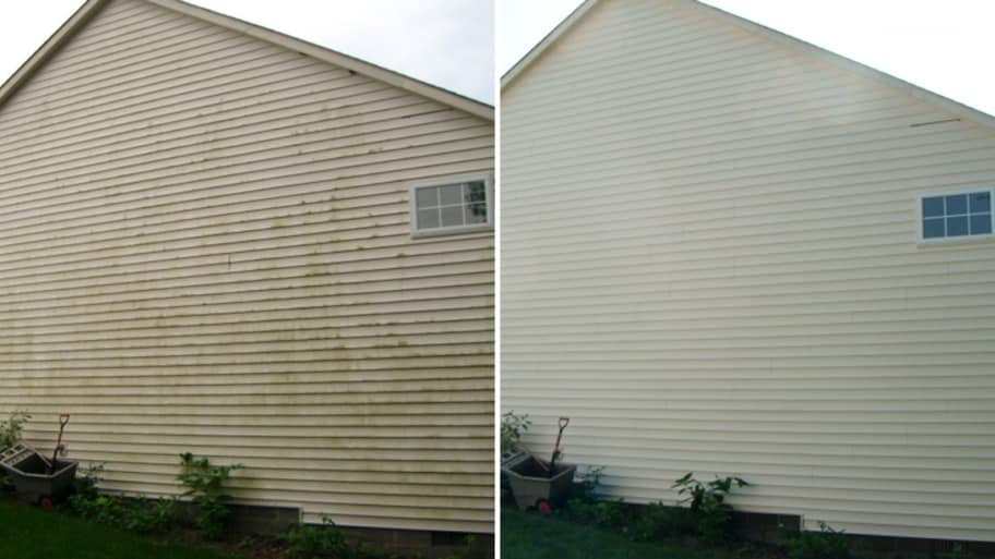 Importance of Soft Washing and Removal of Algae and Mold - Warrum's ...
